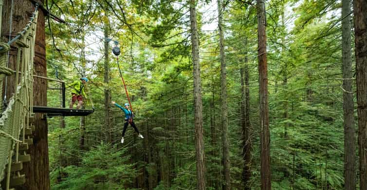 Redwoods Altitude, Whakarewarewa Forest - Book Tickets & Tours ...