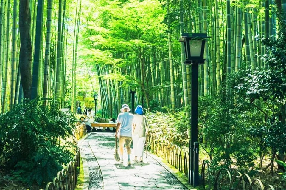 Tokyo: Izu Hydrangea Ocean, Jogasaki Beach & Hot Spring Day | GetYourGuide