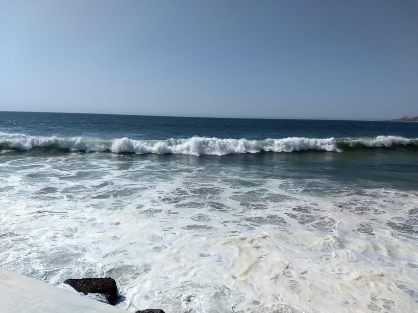 Authentic Viña del Mar: Garden City Highlights | GetYourGuide