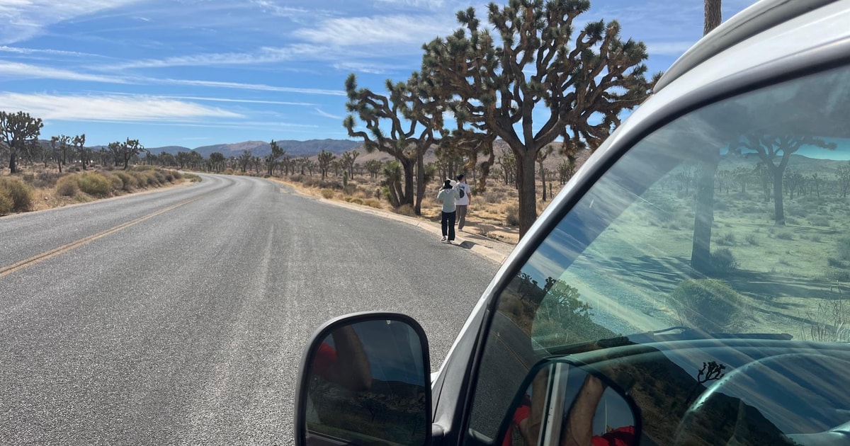 Sightseeing Adventure Tour of Joshua Tree Park (Max 10) | GetYourGuide