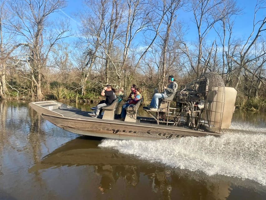 New Orleans: 6 Passenger Premium Airboat Swamp Tour | GetYourGuide