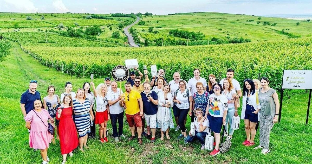 From Bucharest: Wine Tasting & Sunset on Old Wine Road | GetYourGuide