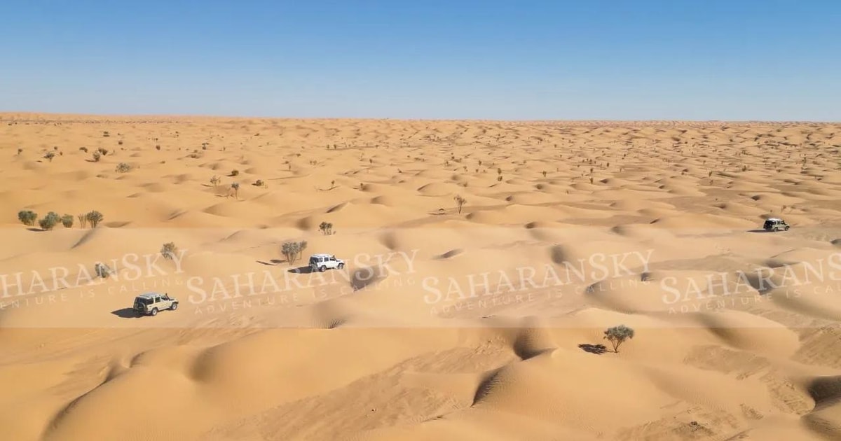 Douz: Sahara Desert Dune Ride with Tea Stop | GetYourGuide