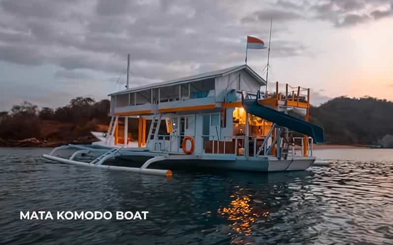 The BEST Pink Beach, Komodo Glass-bottom boat tours 2024 - FREE ...