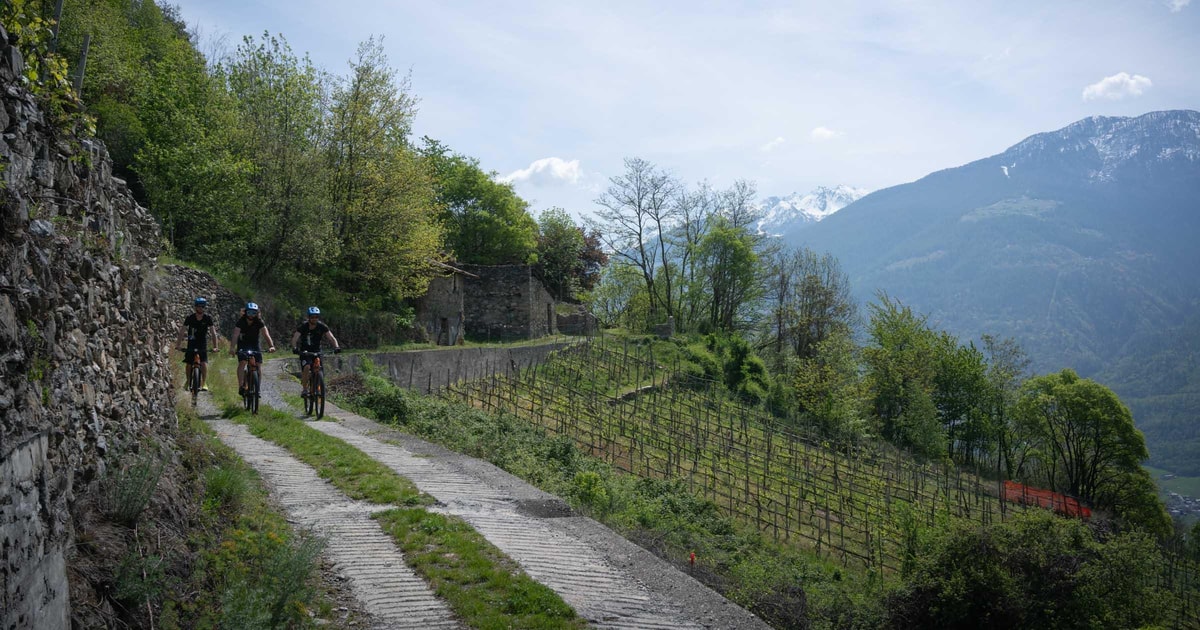 E-Bike Wein-Tour mit Indomita | GetYourGuide