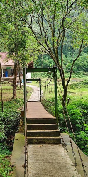 From Jakarta : Waterfall , Botanical Garden , Puppet Show | GetYourGuide