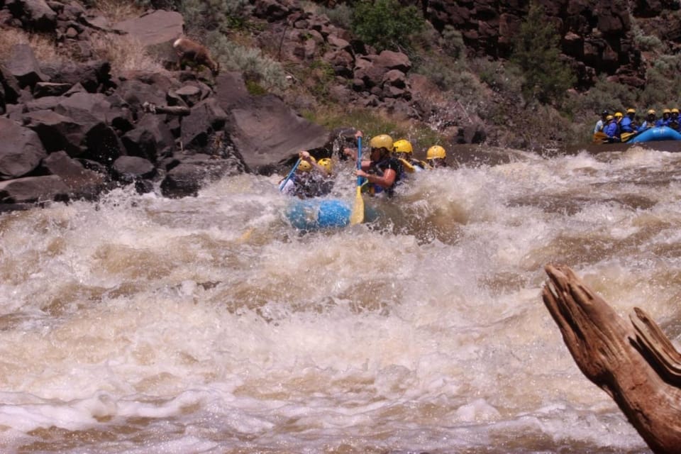 Taos/Santa Fe: Rio Grande Class IV "Taos Box" Rafting | GetYourGuide