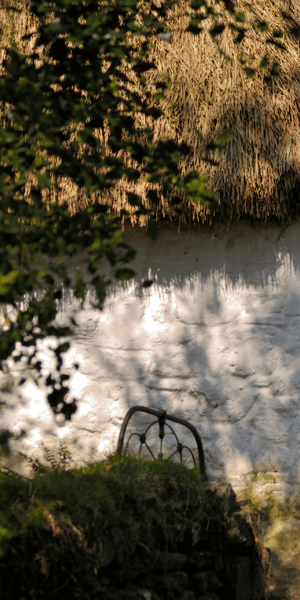 Dublin: Cliffs of Moher, Ennis, & Bunratty Castle Day Tour | GetYourGuide