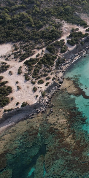Paphos: Blue Lagoon Sunset Cruise with BBQ and 2H SWIM STOP | GetYourGuide