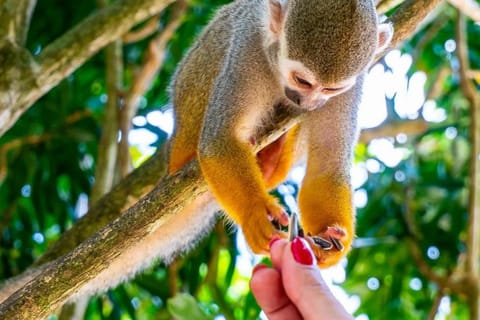 Cabo Engano, Punta Cana - Book Tickets & Tours | GetYourGuide