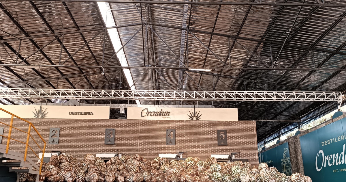 Five-star factory: Meet Orendain tequila. | GetYourGuide