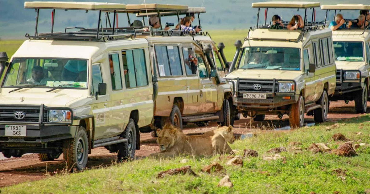 4-dniowe prywatne safari klasy średniej z Zanzibaru z przelotami ...