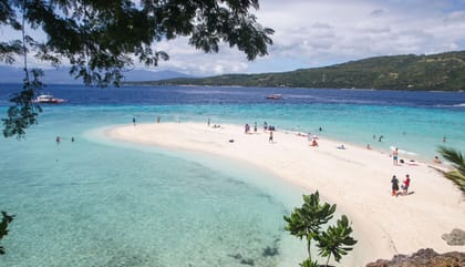 Cebu: Whaleshark Encounter, Tumalog Falls & Sumilon Sandbar | GetYourGuide