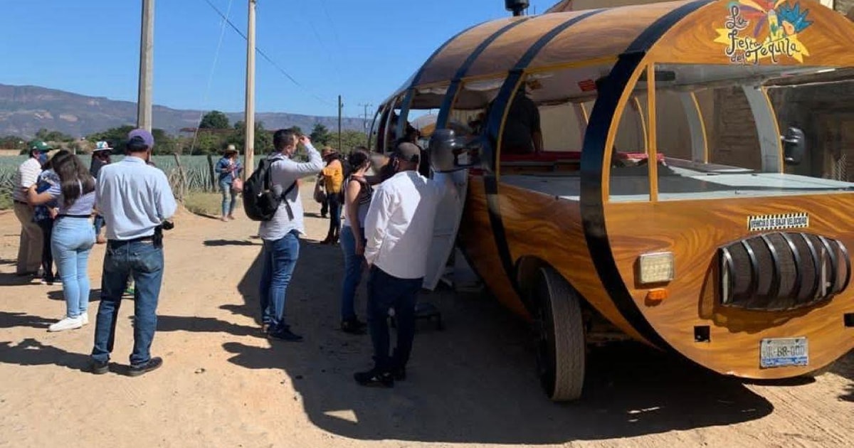 Tequila Tour from Guadalajara: Tequila Barrel Ride | GetYourGuide