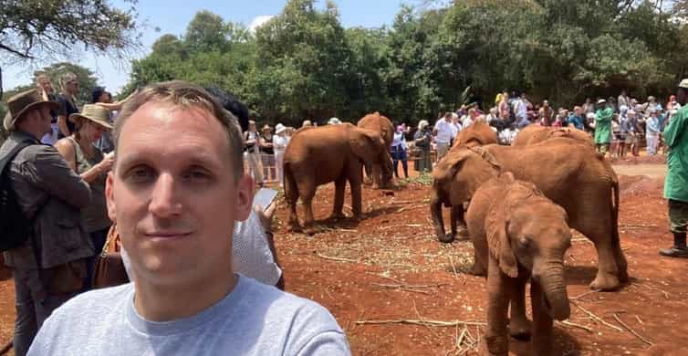 David sheldrick Giraffe center | GetYourGuide