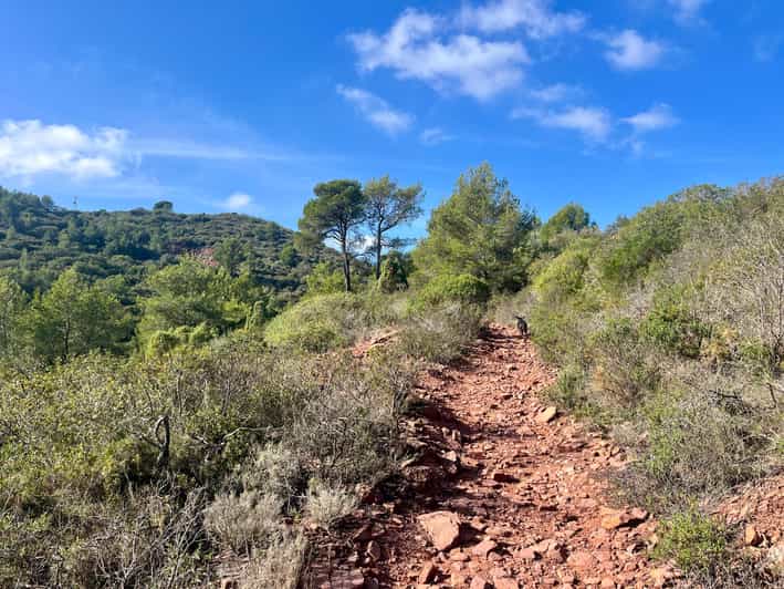 Valencia: Sierra Calderona & El Garbí Mountain hiking Tour | GetYourGuide