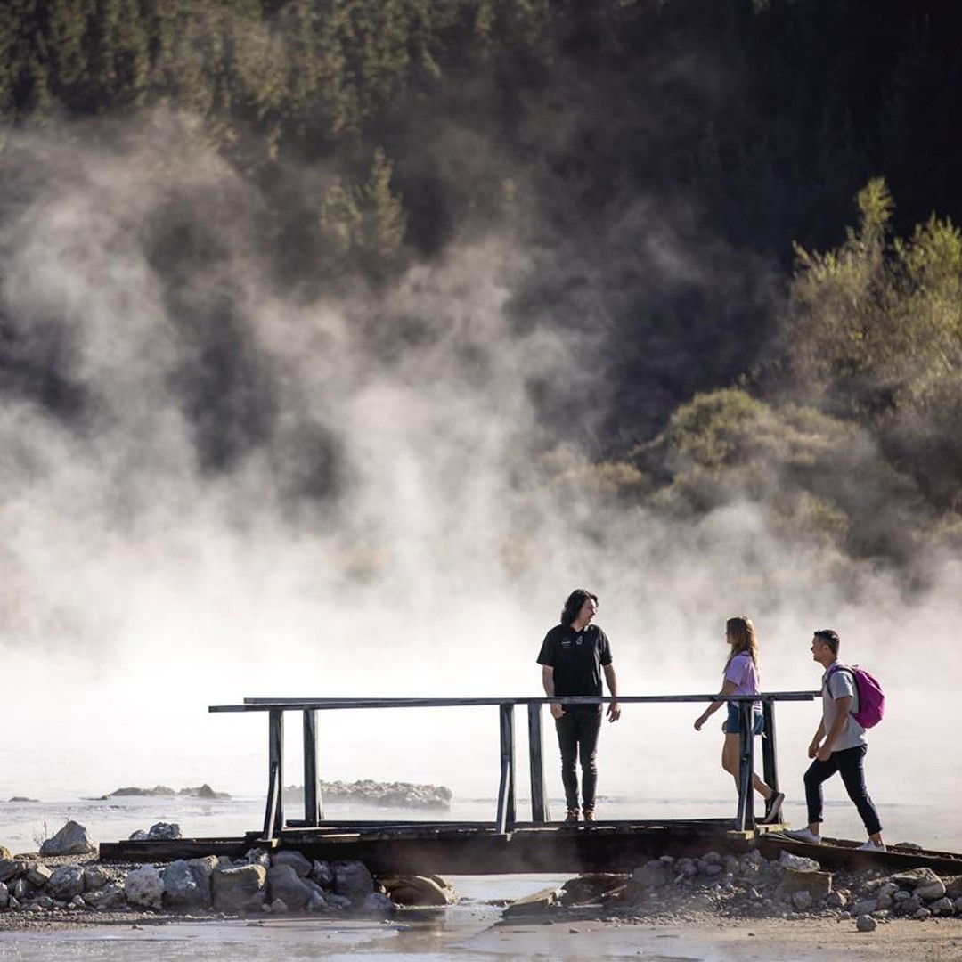 HELL'S GATE Mud Spa, Rotorua - Group Day Tour Ex Auckland | GetYourGuide