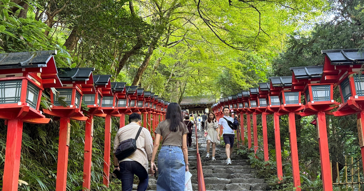 Kyoto: Kifune Shrine and the Sacred Kifune Valley Day Trip | GetYourGuide