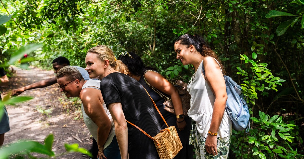 Zanzíbar: Visita guiada a la Selva de Jozani, Colobos Rojos y traslado ...