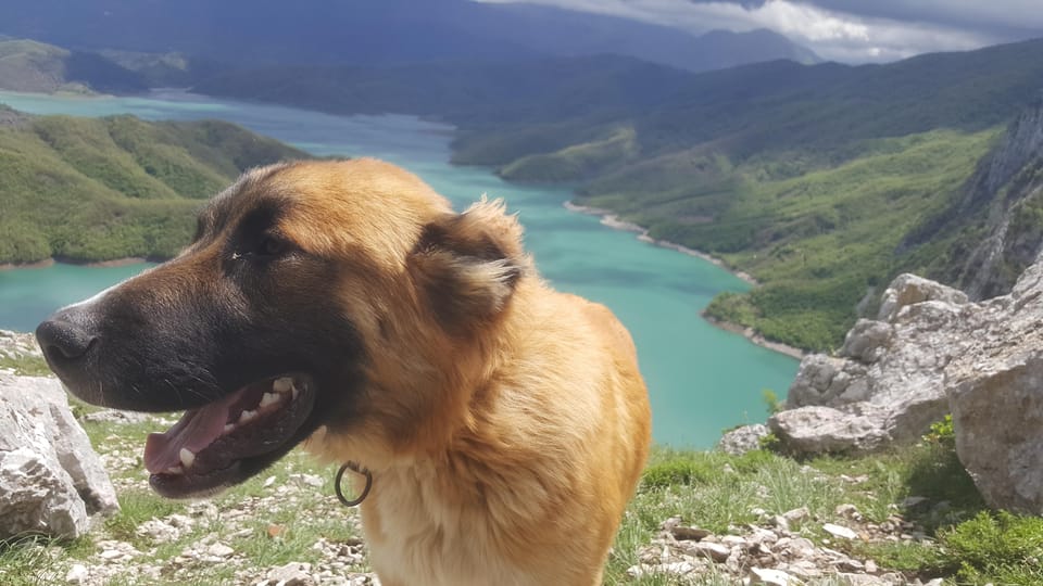 Hiking day tour of Bovilla Lake & Gamti Mountain from Tirana | GetYourGuide