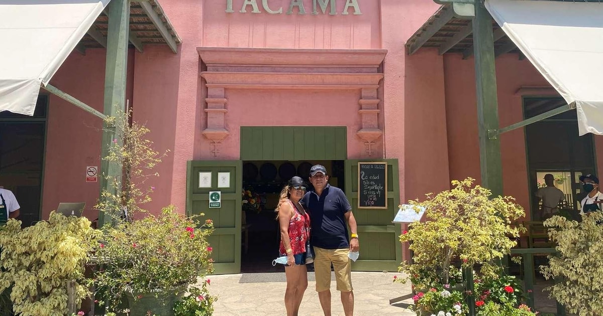 Pisco tasting at the Tacama winery | GetYourGuide