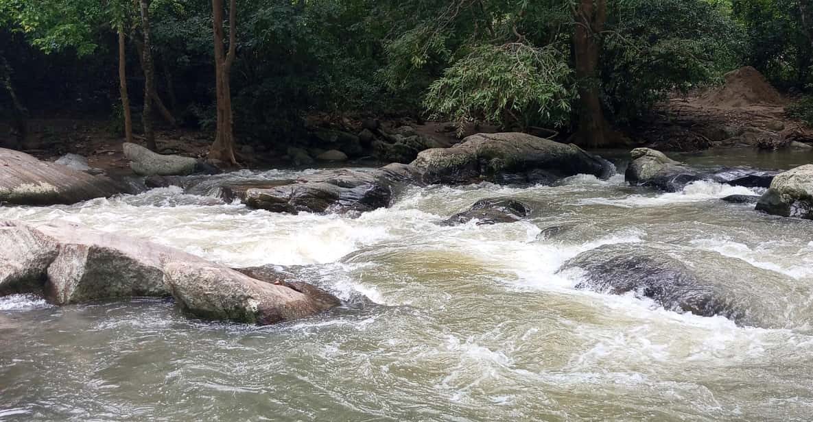 Ella: Authentic village tour with Sri Lankan lifestyle & way | GetYourGuide