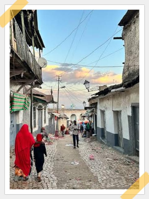 3 Days Harar Stroll through the walled city of Harar | GetYourGuide