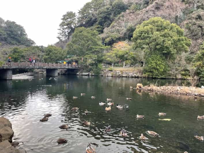 Seogwipo City(in Jeju Island) Walking Tours with Sunset | GetYourGuide