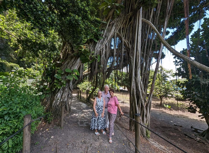Tahiti Private Half Day Tour. Nature, history and culture | GetYourGuide