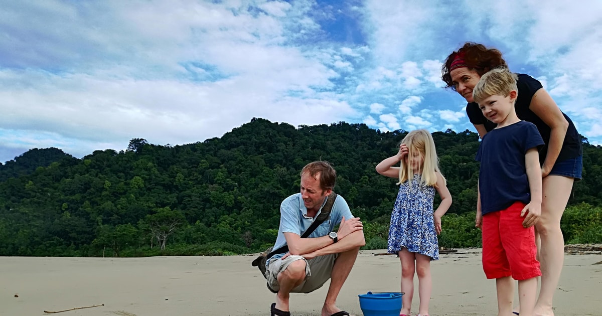 Banyuwangi hidden gem: Sukamade Beach Turtle Release Tour | GetYourGuide