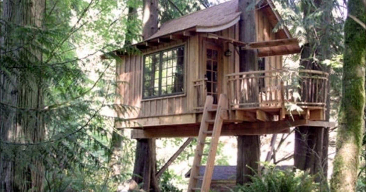From Cusco: Manu Tree House 4 days/3 nights | GetYourGuide