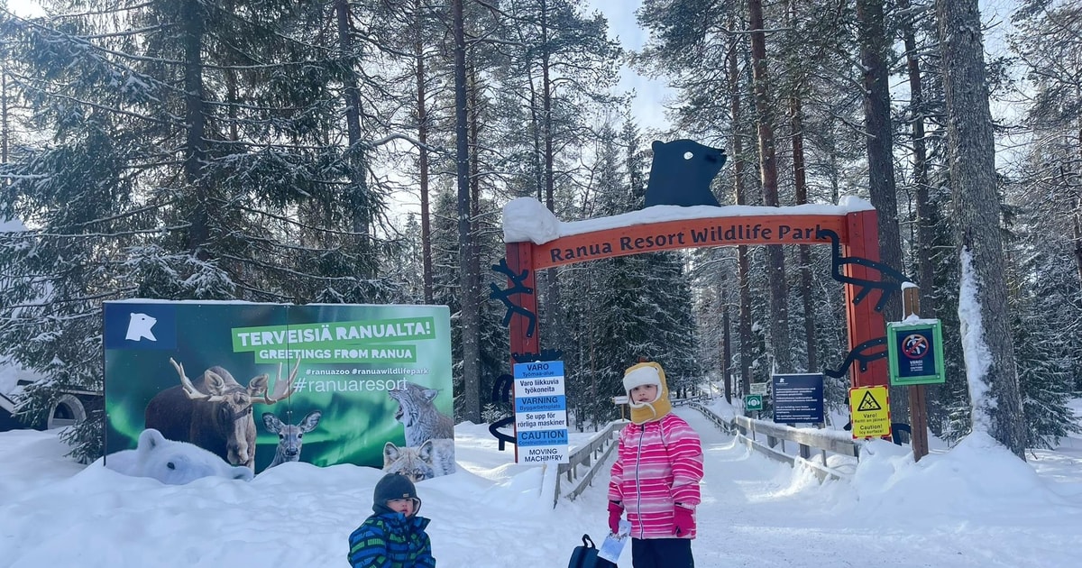 Ranua Wildlife zoo guided tour with lunch buffet included | GetYourGuide