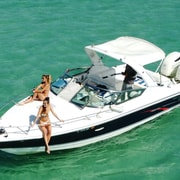 Miami: tour privado por el banco de arena, la isla de los ...