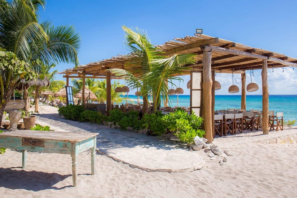 Tulum, Cenote Swim, Turtle snorkelling & Beach Club Combo | GetYourGuide