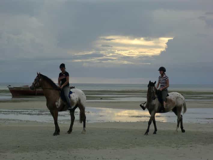 Horseback Riding, Kuza Cave, Paje Beach, The Rock Dinner | GetYourGuide