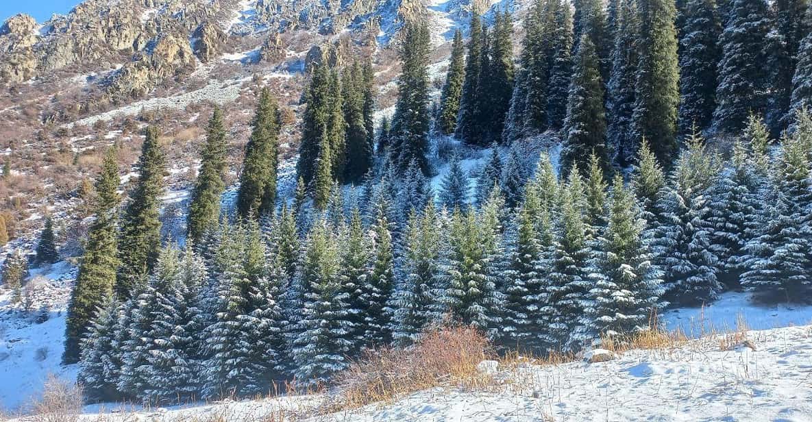 The Ala Archa National Park (Hiking and Adventure) | GetYourGuide