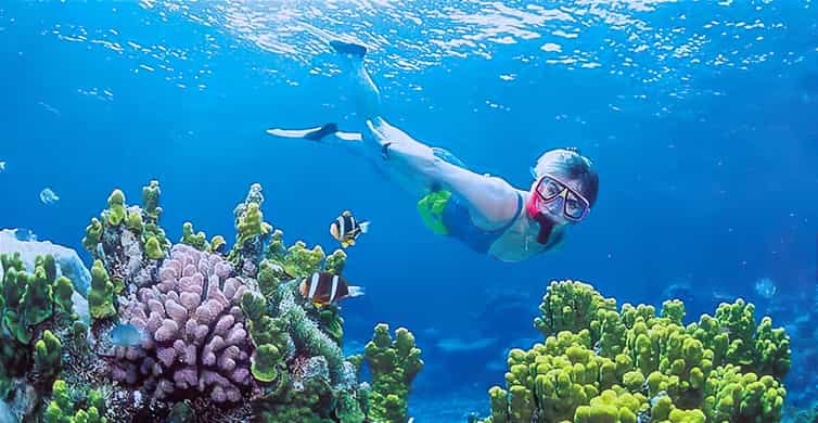 Gili Islands Snorkeling Adventure | GetYourGuide