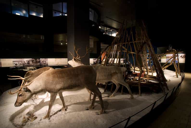 Rovaniemi: Arktikum Science Centre and Museum Entry Ticket | GetYourGuide