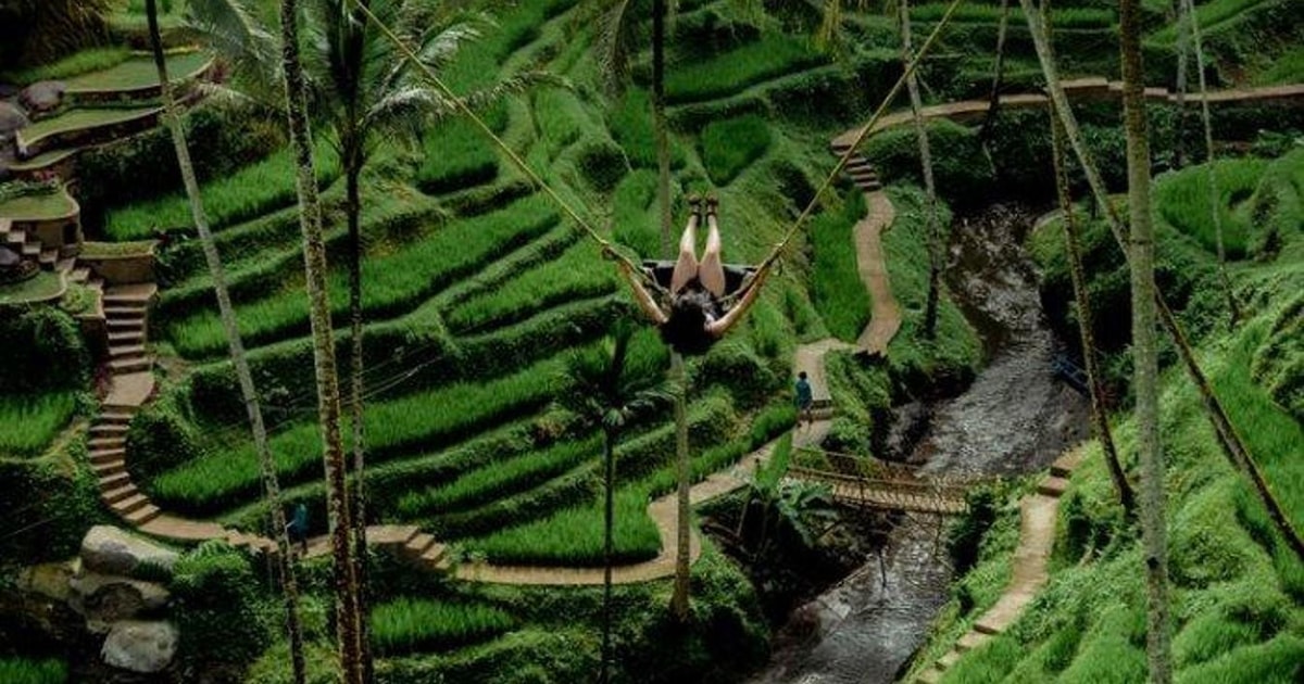 Bali : Ubud Terrace Rice Field, Swing & Ubud Palace | GetYourGuide