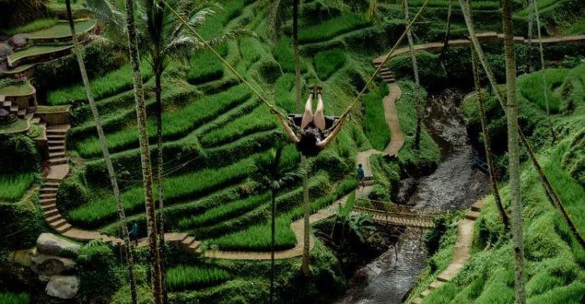 Bali : Ubud Terrace Rice Field, Swing & Ubud Palace | GetYourGuide