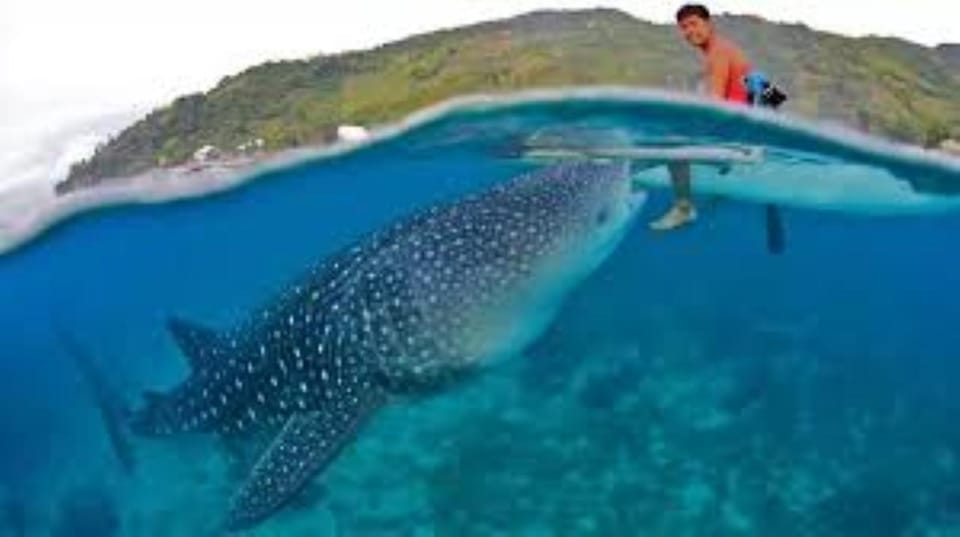 Oslob: Svømning med hvalhaj, Tumalog-vandfald og Sumilon Island ...