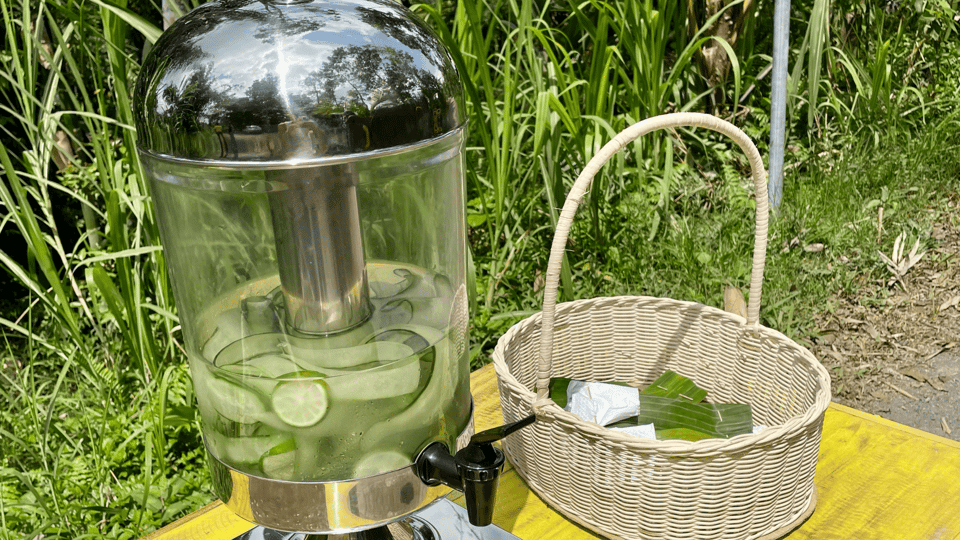 Ubud: Mario Jungle Kart Eco Gokart Maceraları | GetYourGuide