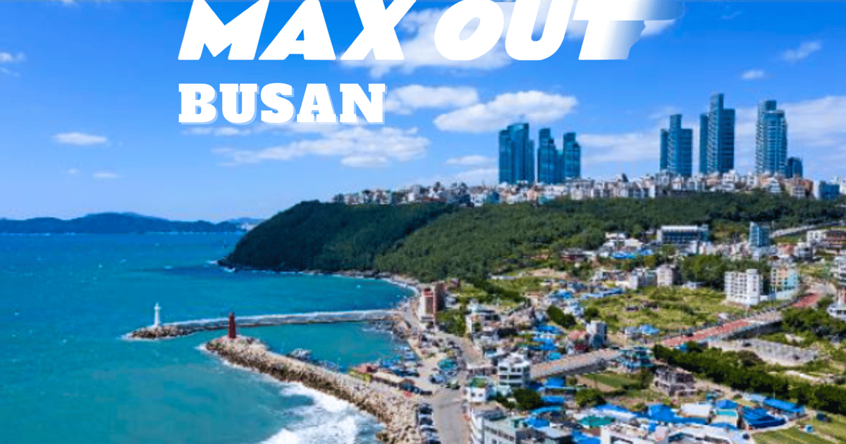 Busan: City Highlights Full-Day Tour | GetYourGuide