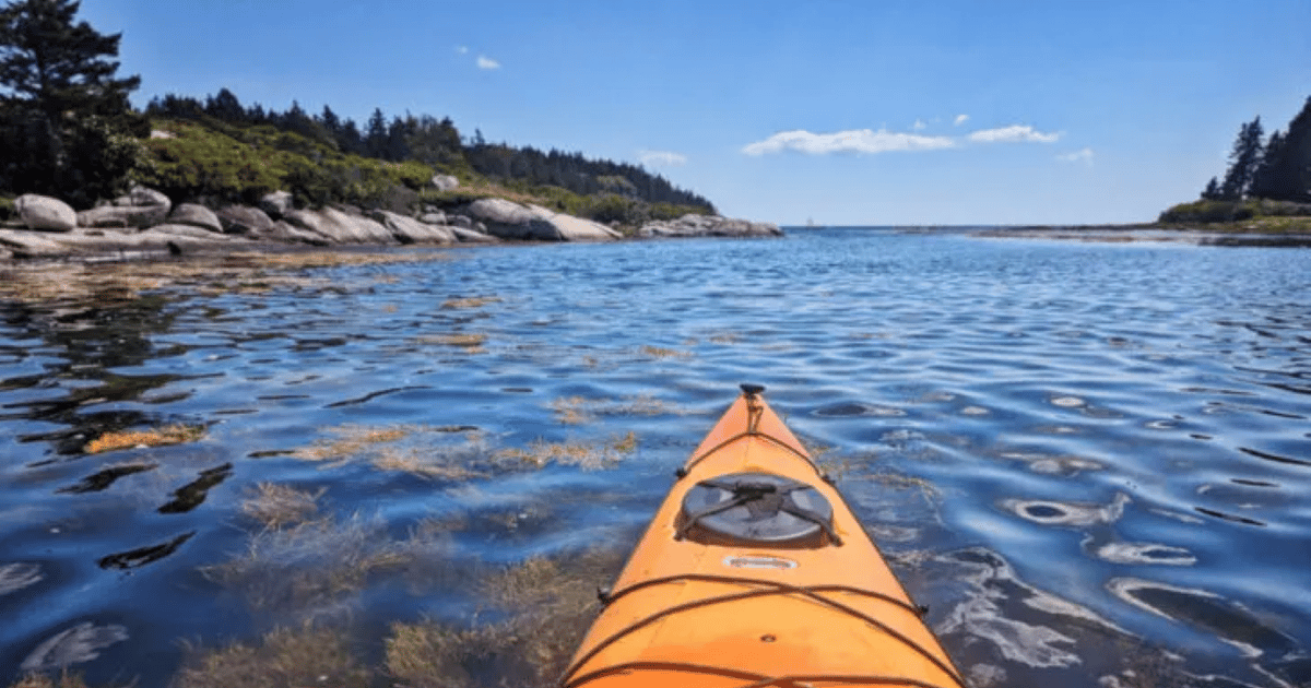 Maine Tour guiado por Craig Pond | GetYourGuide