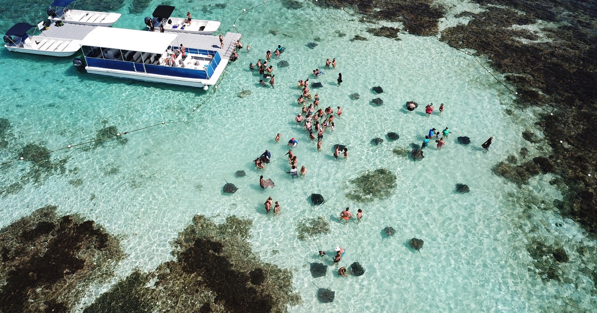 6-Hours Guided Stingray Tour in the East Coast of Antigua | GetYourGuide