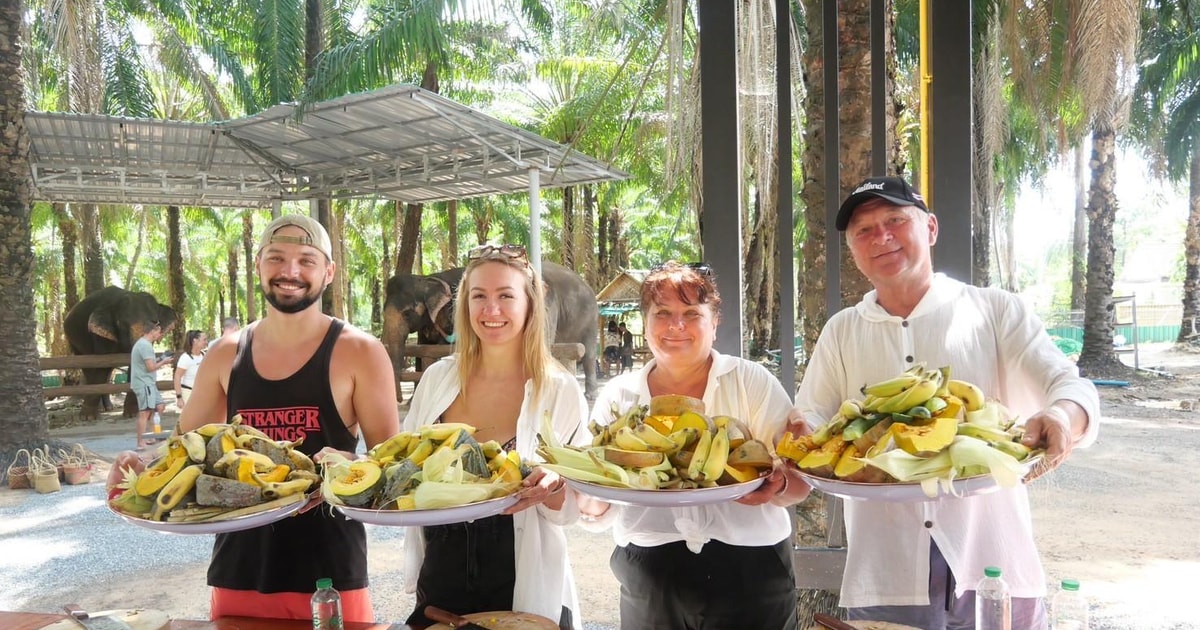Krabi: Programa de Alimentación de Elefantes con Preparación de la ...