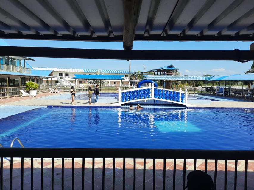 Volcano Mud Bath and Club Hotel Day Trip | GetYourGuide