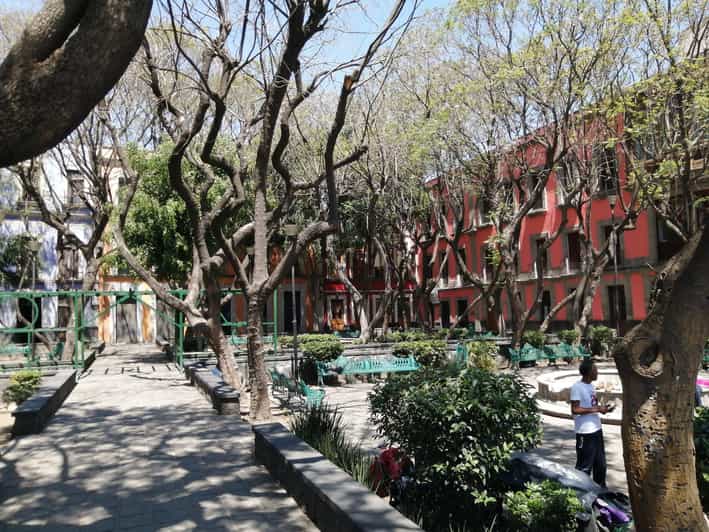 Mexico City : Hidden Gems of the Historic Downtown CdMx Walking Tour ...