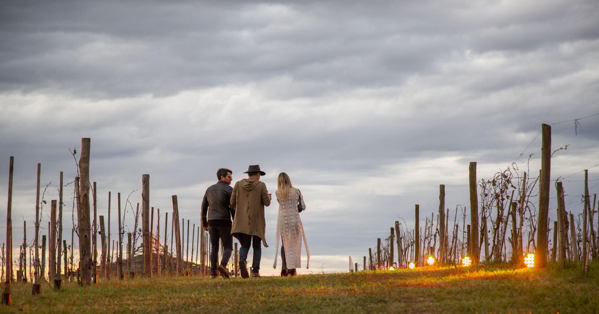 Private Bodega Gamboa Wine Tasting Tour With Lunch | GetYourGuide