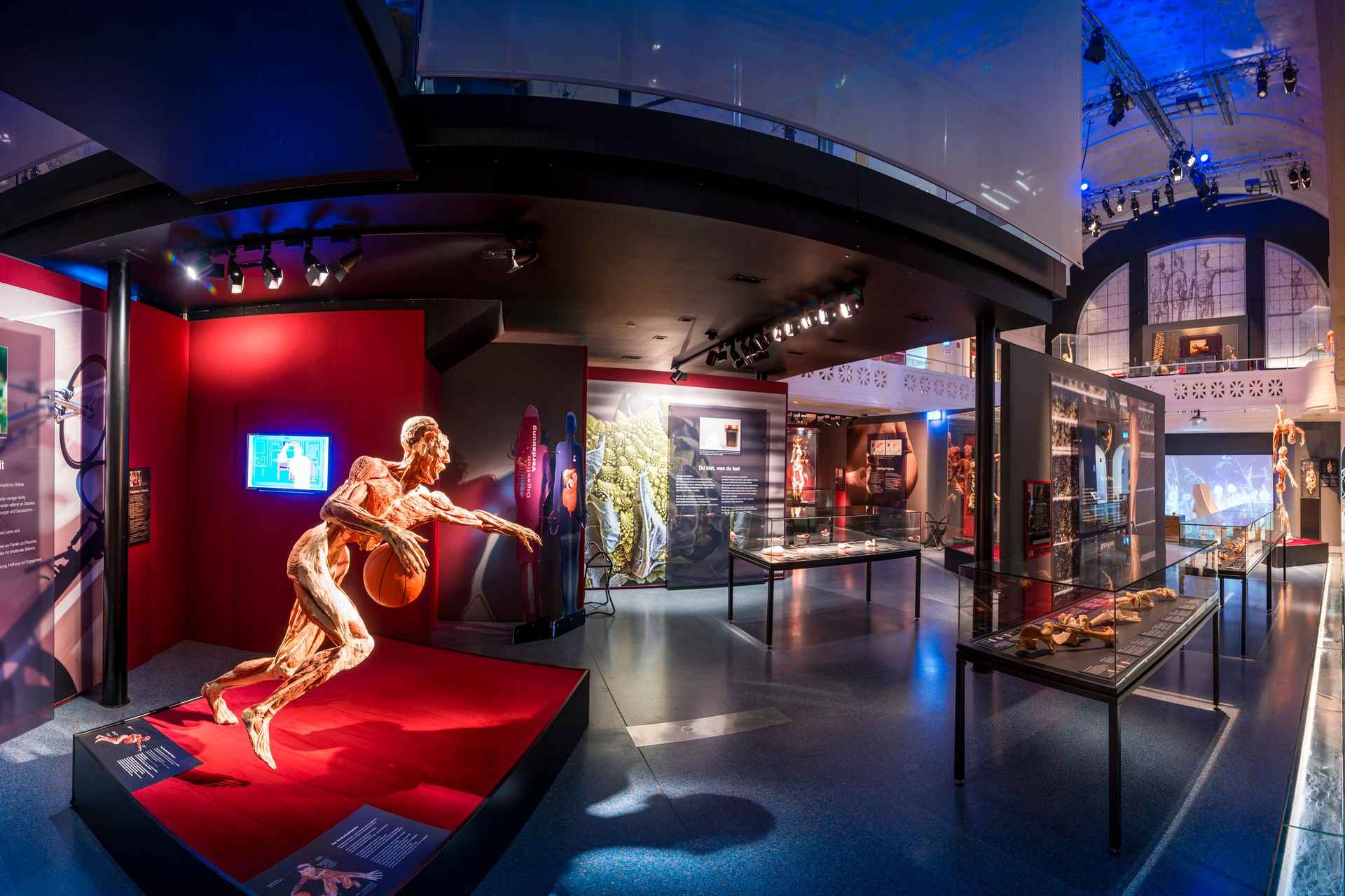 Heidelberg: BODY WORLDS Museum Entry Ticket | Guide to Europe